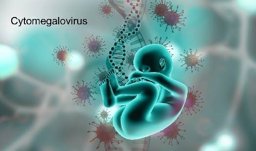 Cytomégalovirus (CMV) : Symptômes et Traitement | Conseils de Pharmacien