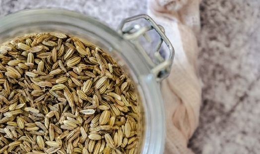 Fenouil : propriétés et utilisation – Appétit, digestion et allaitement