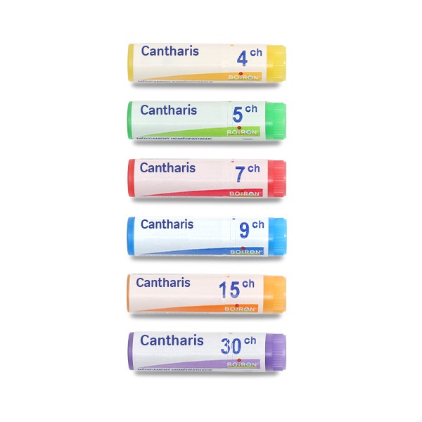 Cantharis 9CH en dose du laboratoire Boiron - Cystite Homéopathie