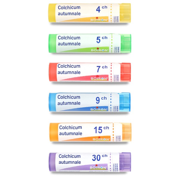 Colchicum autumnale tube granules Boiron - Homéopathie pour la goutte