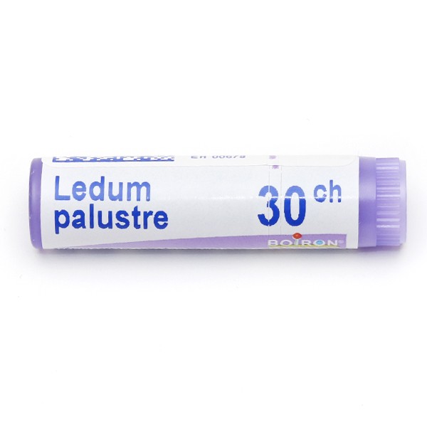 Ledum Palustre Dose Homéopathique laboratoire Boiron - Bleu, coup