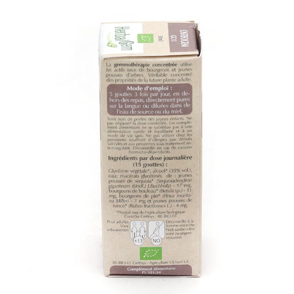 HerbalGem Osteogem bio 30 ml - Capital osseux - Bourgeon de Bouleau