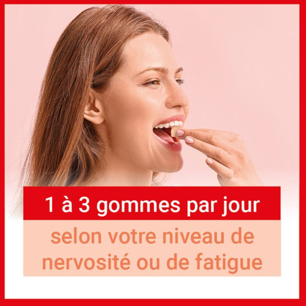 Mag 2 Gommes Nervosité Fatigue - Magnésium et Vitamine B6