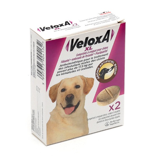 Veloxa XL Chien comprimés - Vermifuge vers plats et vers ronds