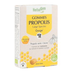 Achat Propolis en pharmacie : gélule, spray, gouttes et comprimé